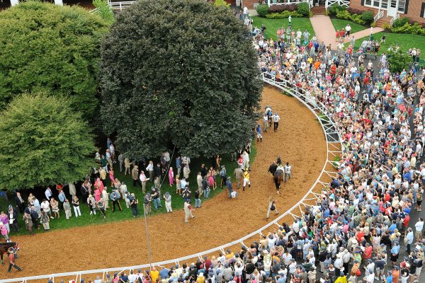 It's a Wonderful Life: Rachel Alexandra At Stonestreet - TDN Look