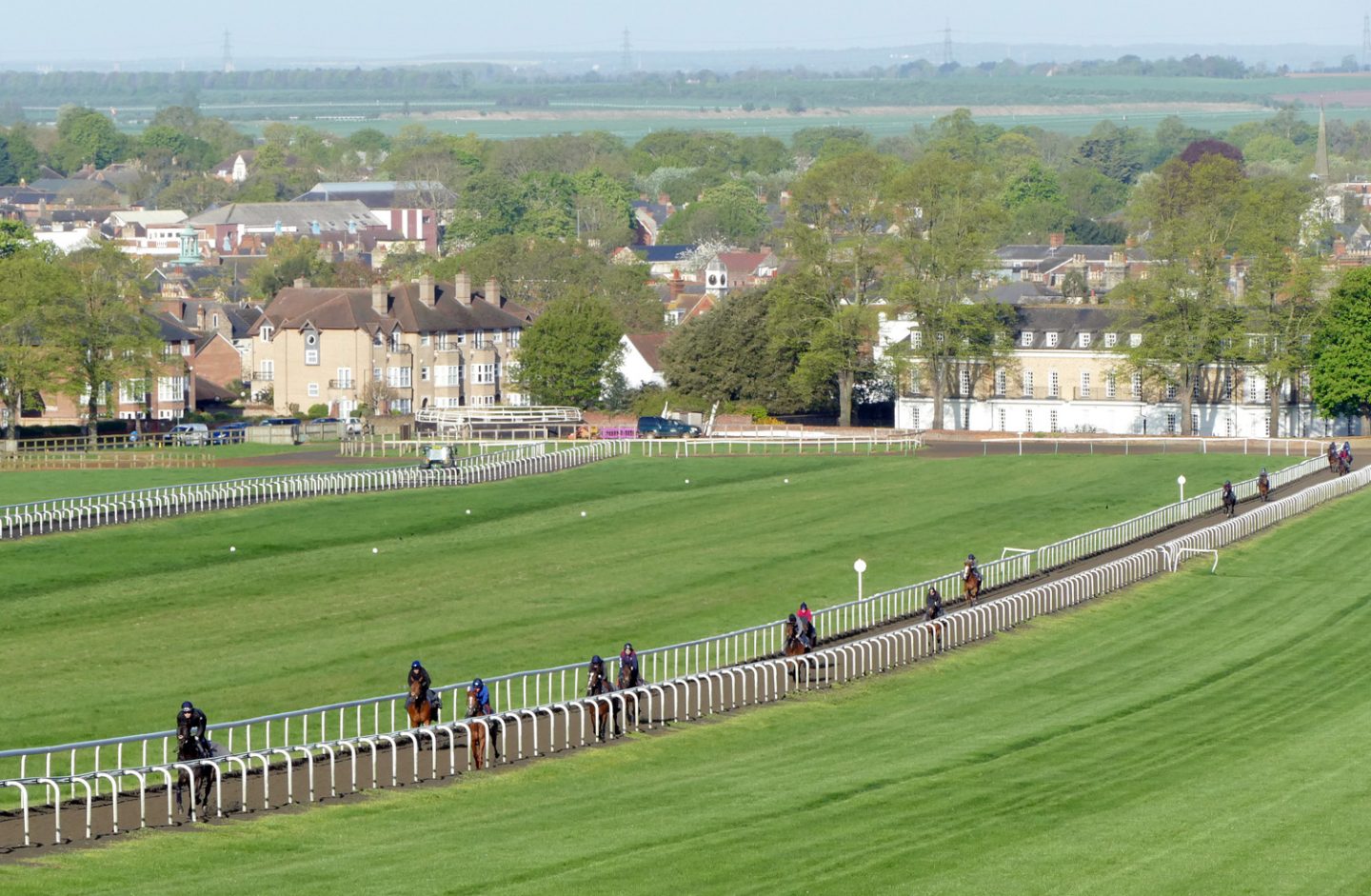 Newmarket: A Place of Wonder for the Racehorse - TDN Look