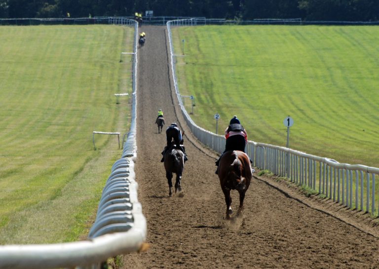 Newmarket: A Place of Wonder for the Racehorse - TDN Look