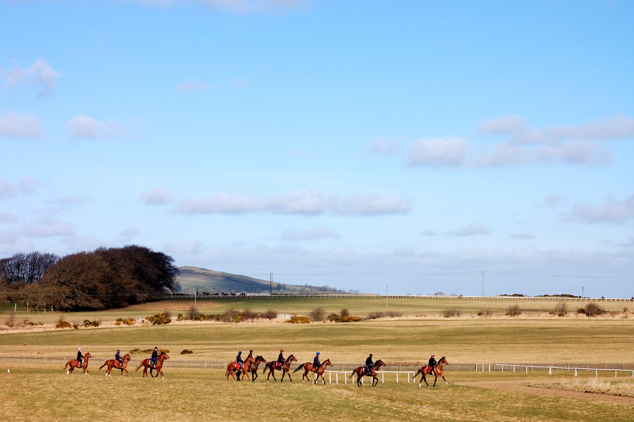 The Curragh: Ireland's Bedrock of Champions - TDN Look