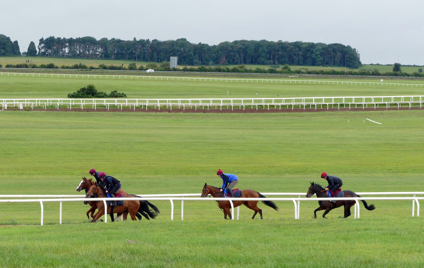 The Curragh: Ireland's Bedrock of Champions - TDN Look