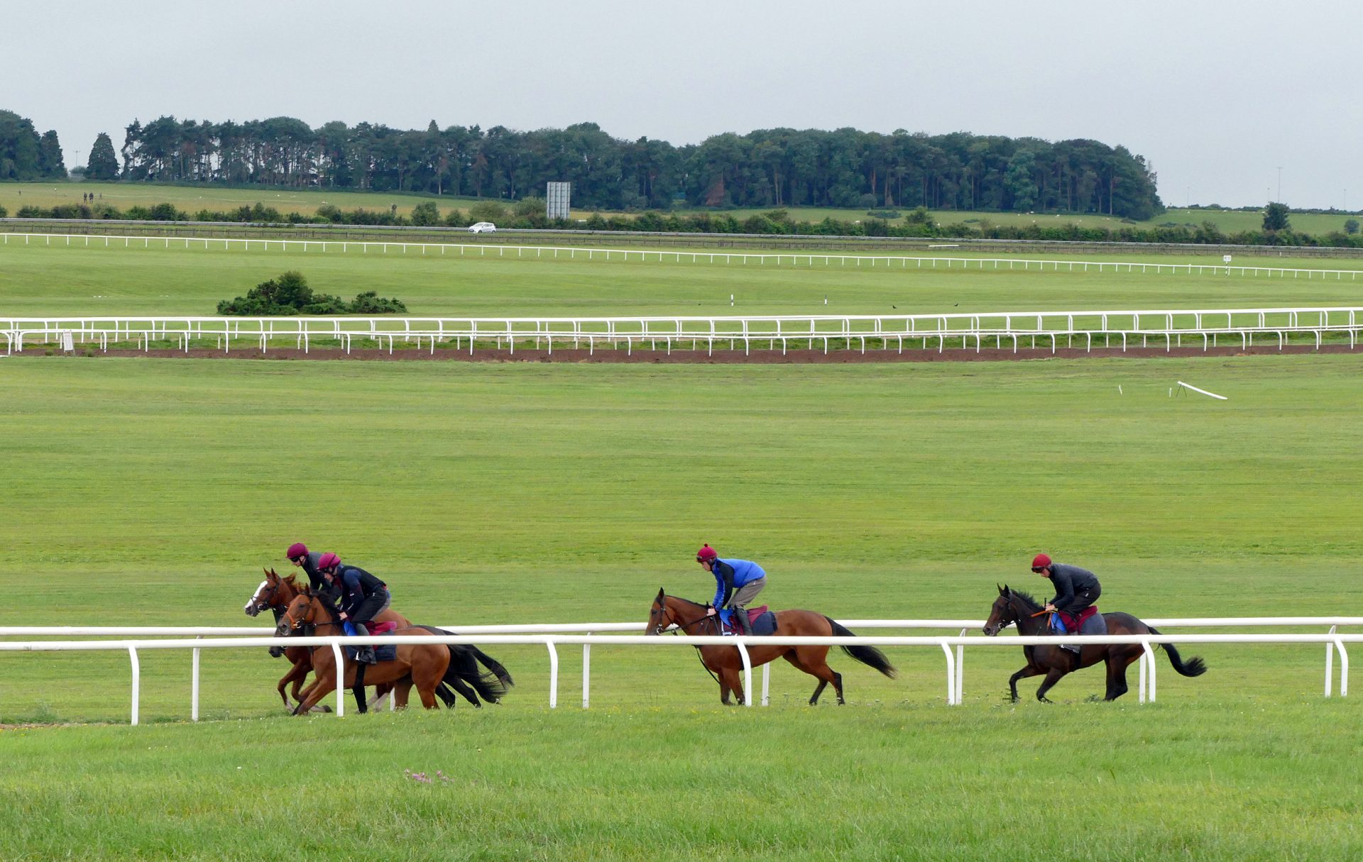 The Curragh: Ireland's Bedrock of Champions - TDN Look