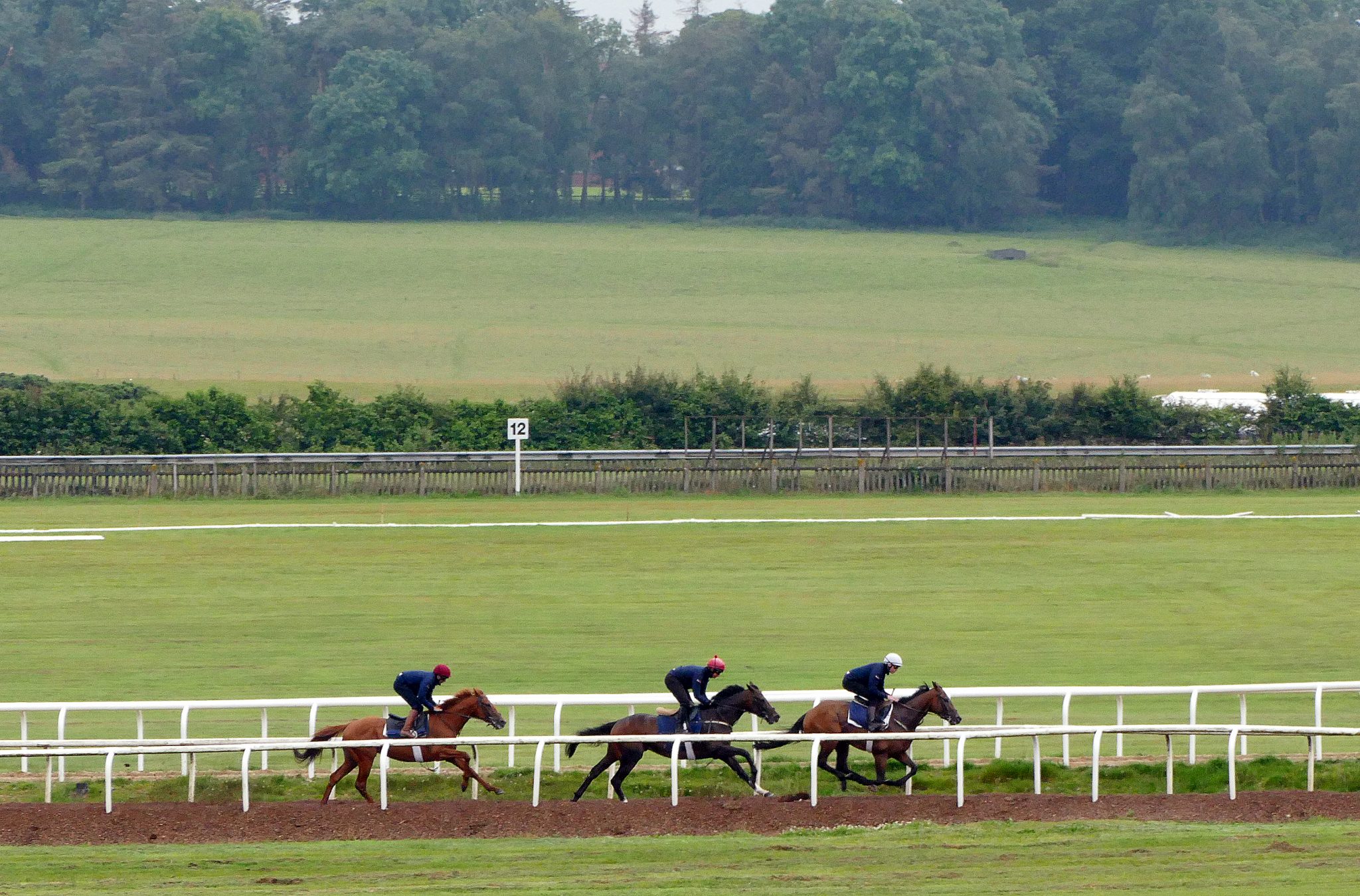 The Curragh: Ireland's Bedrock of Champions - TDN Look