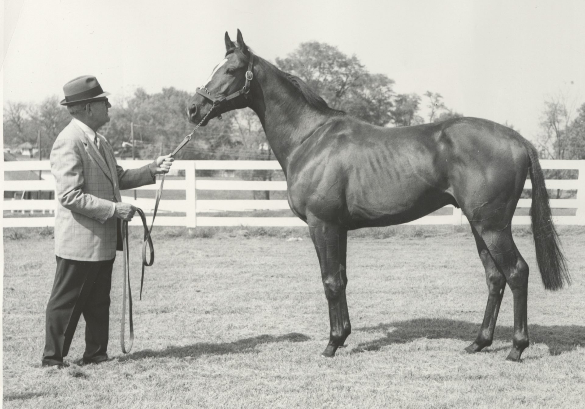Keeneland 'Life's Work' Oral History Project, No. 2: John Phillips ...