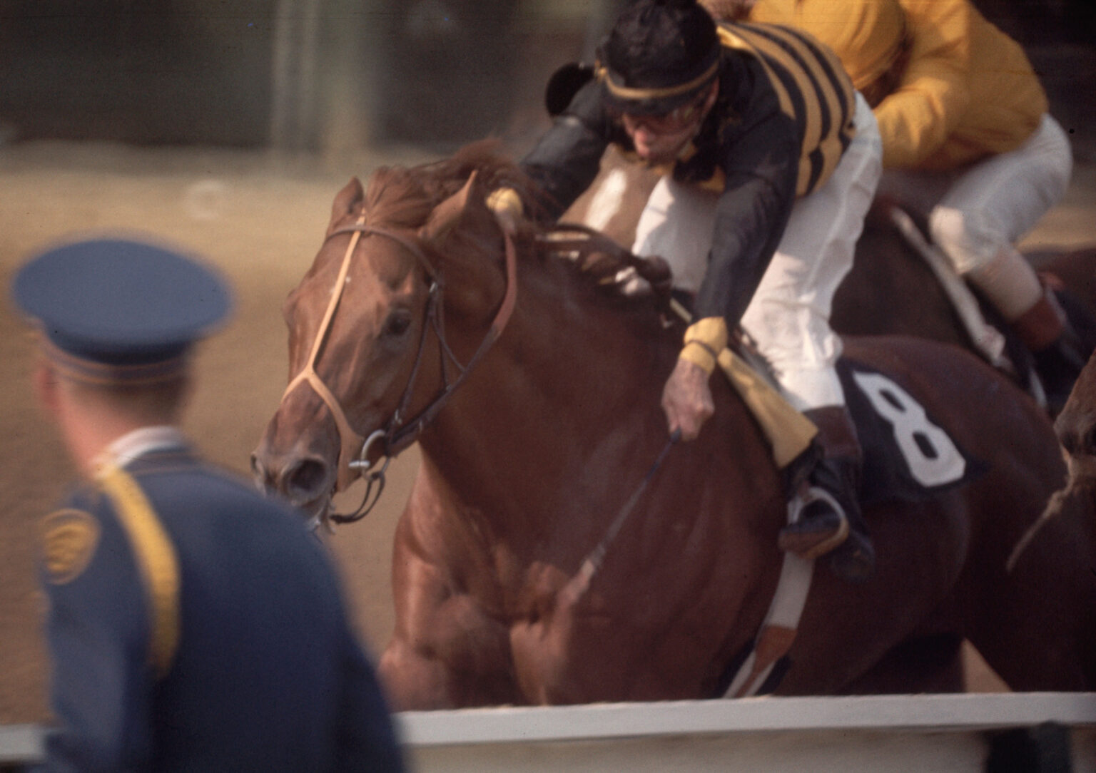 Keeneland ‘Life’s Work’ Oral History Project, No. 6: Dr. Gary Lavin ...