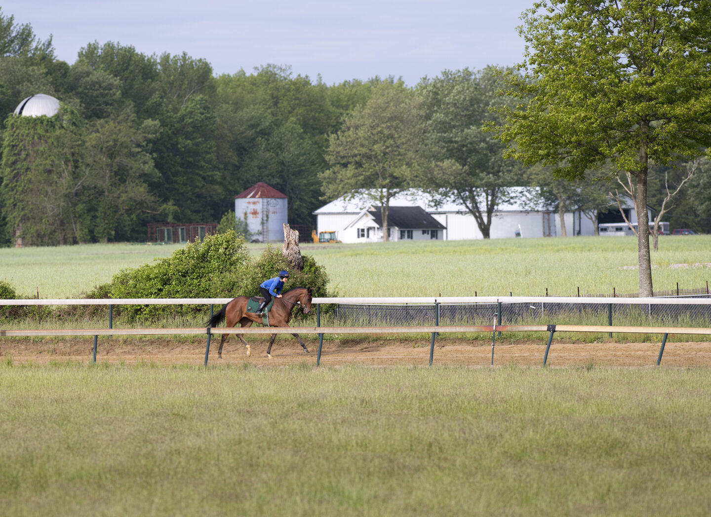 Will Krone and Peterson Be An Unbeatable Team? - TDN Look